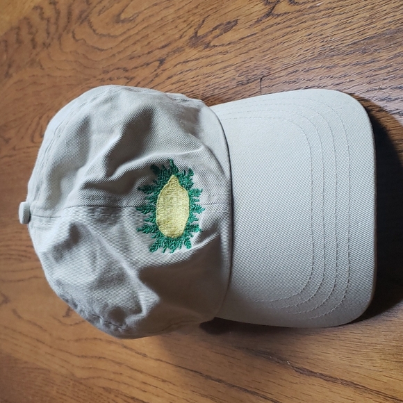 Accessories | Vintage Unique Lemon Appliqu Embroidered Baseball Cap ...